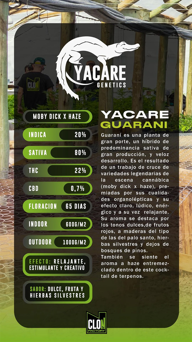 Inicio - Clon Factory