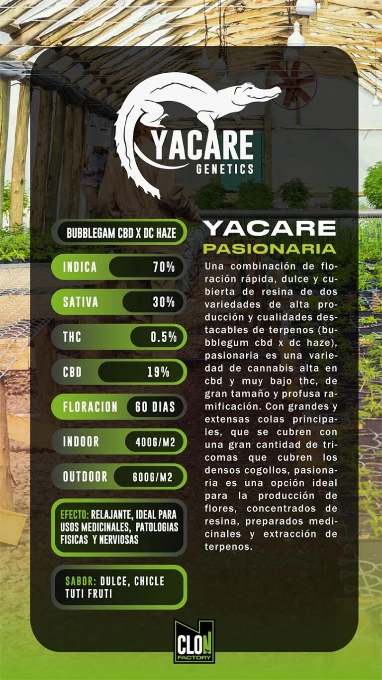 Inicio - Clon Factory