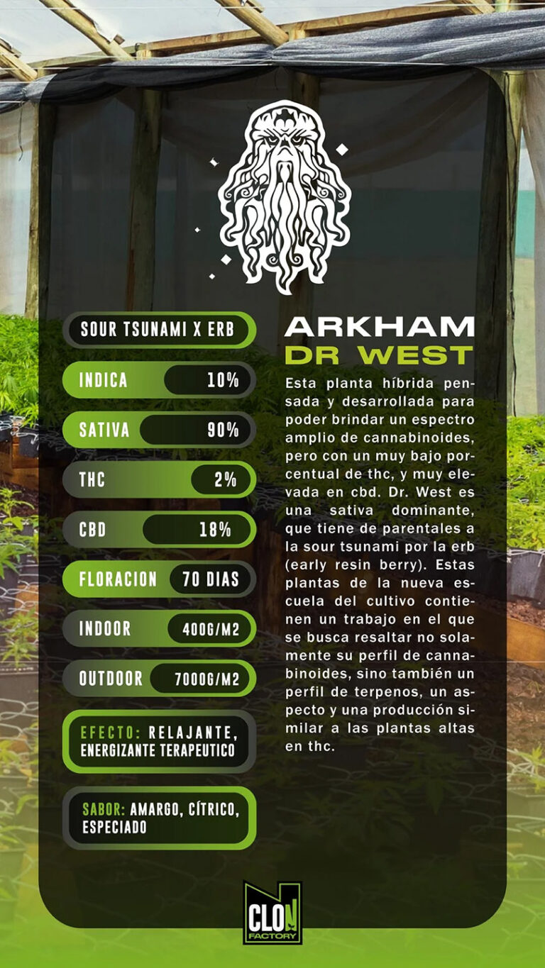 Inicio - Clon Factory