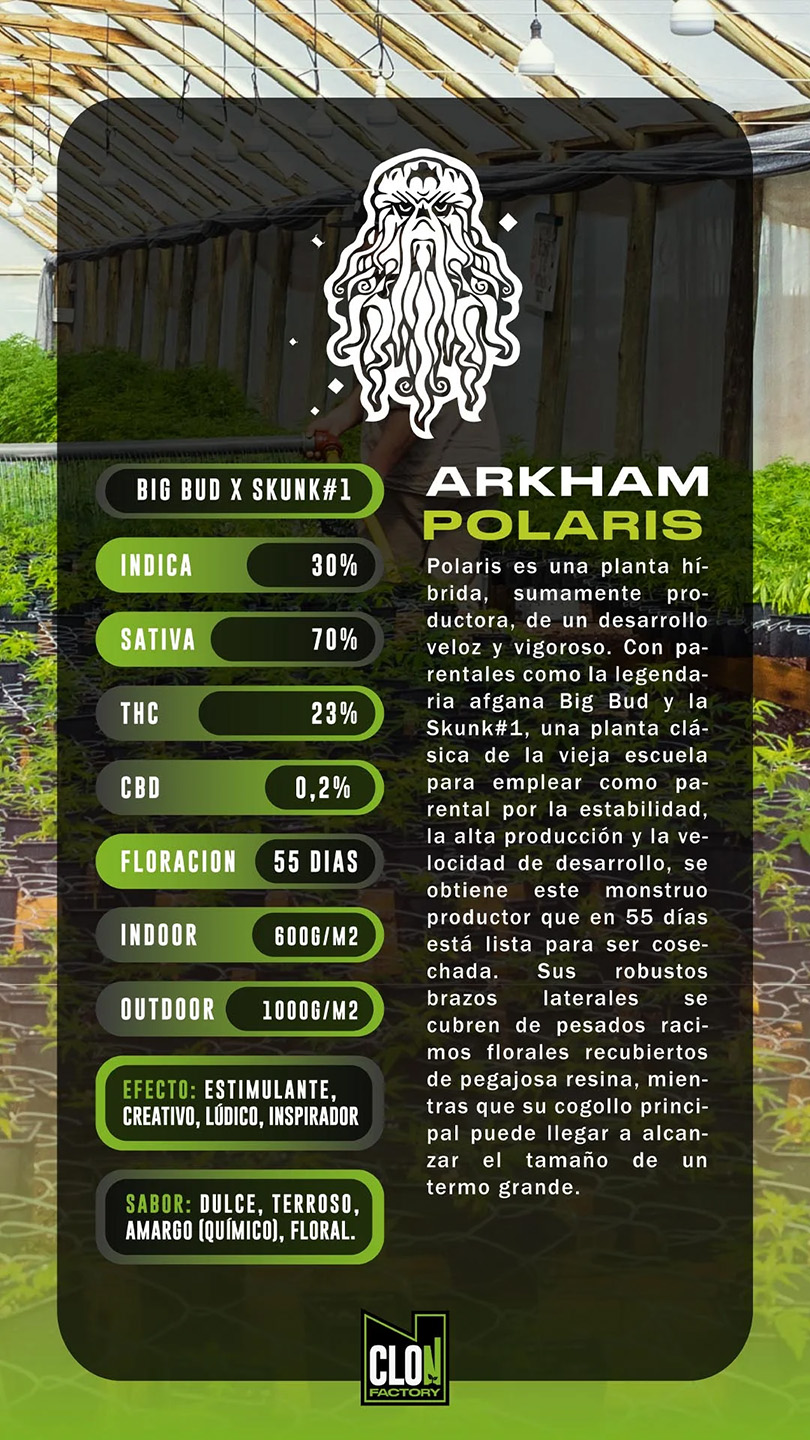 Inicio - Clon Factory