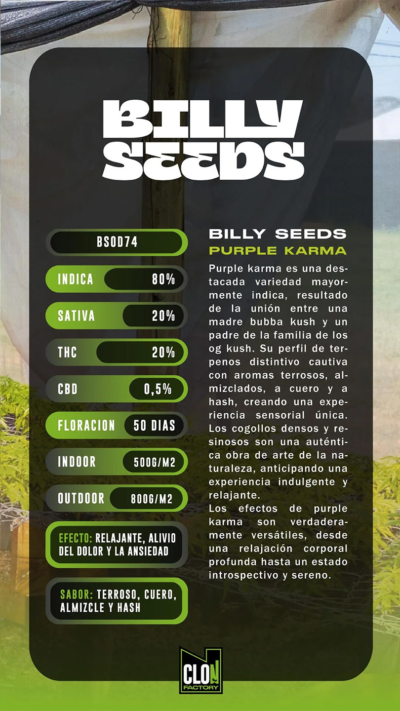 Inicio - Clon Factory