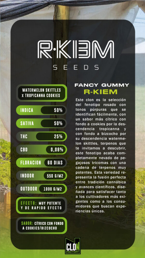 Inicio - Clon Factory